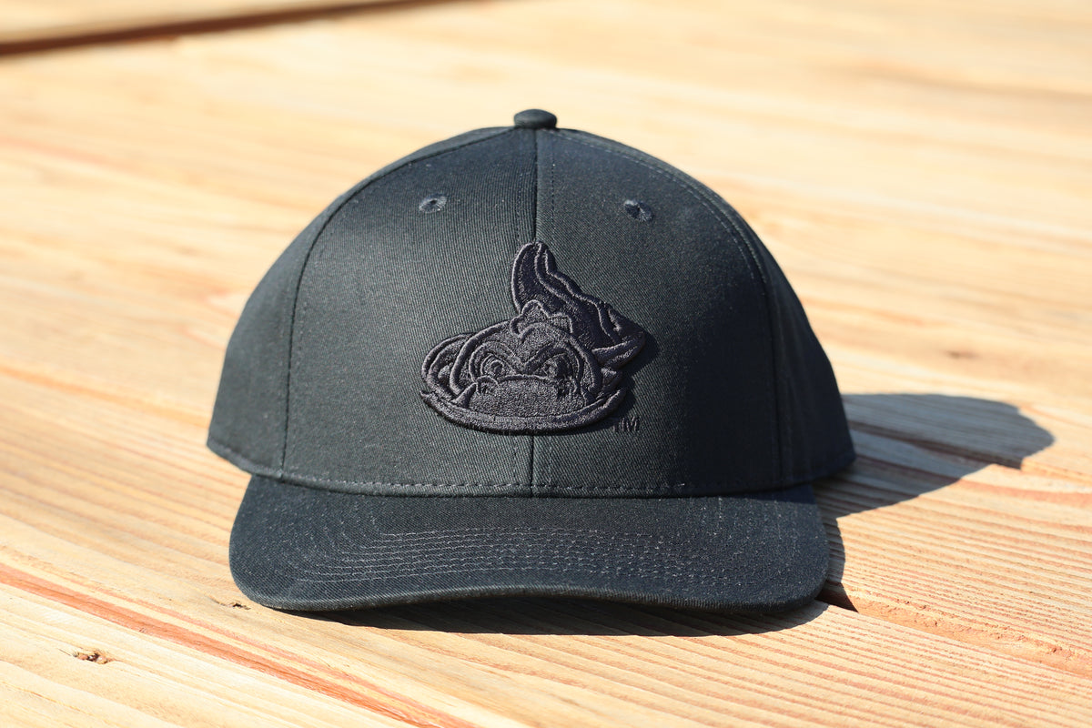 Black on Black Premium Modern Trucker Solid Back – Vermont Lake ...